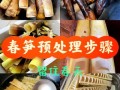 菜市场笋的种类有哪些_新鲜春笋怎么挑