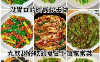 夏季家常菜谱大全_夏天做菜有哪些窍门