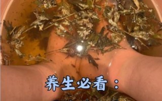 艾草怎么用_艾草泡脚的正确方法