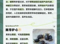 黑枣的功效与作用有哪些_黑枣适合什么人吃