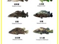 鳜鱼有几种_鳜鱼品种怎么区分