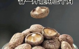 香菇多少钱一斤_2024年最新行情