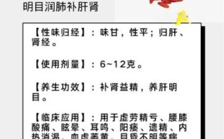 枸杞子对男人的好处_男人吃枸杞子多久见效