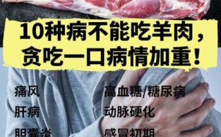 羊肉的功效与作用禁忌_什么人不能吃羊肉