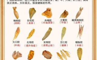 鱼胶的营养价值_鱼胶的功效与作用