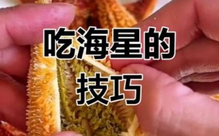 海星可以吃吗_海星怎么吃才安全