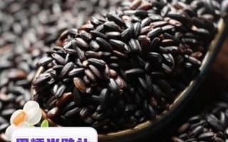 黑糯米粥的功效与作用_黑糯米粥能补血吗