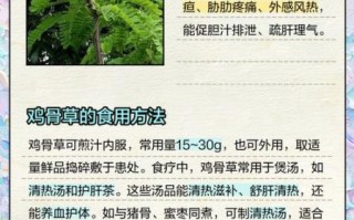 鸡骨草有什么副作用_鸡骨草伤肝还是护肝 鸡骨草有什么副作用_鸡骨草伤肝还是护肝