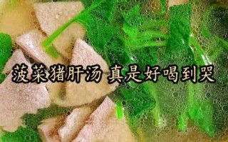 猪肝怎么煲汤补血_猪肝补血汤做法