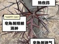 皂角刺的功效与作用_皂角刺的用量是多少