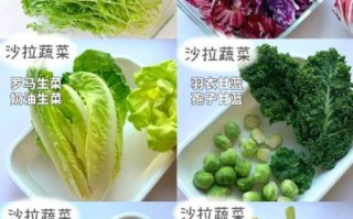 蔬菜色拉用什么蔬菜_蔬菜色拉常用蔬菜清单
