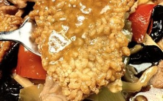 锅巴肉片锅巴的做法大全家常_锅巴肉片锅巴怎么做好吃