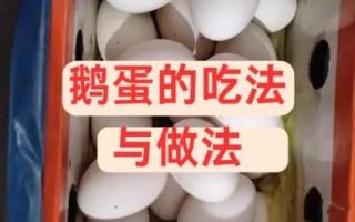 鹅蛋怎么做好吃_家常鹅蛋的最佳吃法
