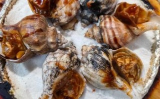 香螺怎么做好吃_香螺图片大全