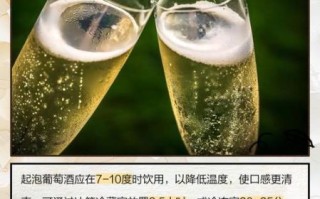 葡萄酒怎么泡的好喝_葡萄酒泡制最佳方法