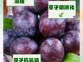 李子热量高吗_减肥能吃李子吗