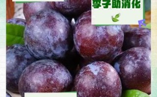 李子热量高吗_减肥能吃李子吗
