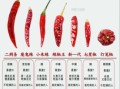 辣椒图片大全大图真实_辣椒种类怎么区分