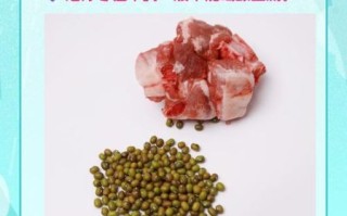 绿豆是解药性的食物吗_吃中药能吃绿豆吗