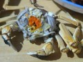 野生河蟹怎么处理干净_野生河蟹清洗步骤
