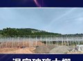 蔬菜大棚建造多少钱_蔬菜大棚建造厂家怎么选