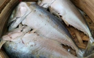 腌咸鱼10斤鱼放多少盐_咸鱼盐比例怎么掌握 腌咸鱼10斤鱼放多少盐_咸鱼盐比例怎么掌握