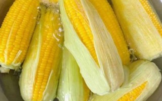 玉米煮多少分钟就可以吃了_甜糯玉米煮多久才熟