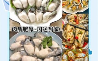 海蛎子肉怎么吃最好_新鲜海蛎子肉的家常做法