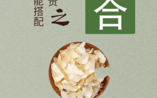 百合图片功效和作用_百合花泡水喝有什么好处