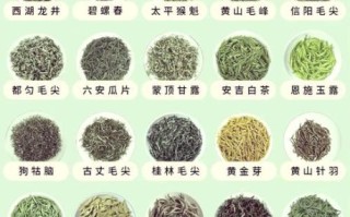 绿茶包括什么茶_哪些茶属于绿茶