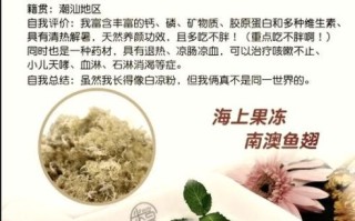 海石花的功效与作用_海石花怎么吃最好