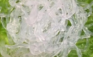 人造海蜇丝是什么做的_人造海蜇丝有危害吗