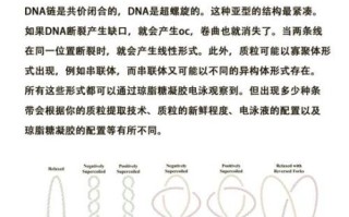 琼脂糖凝胶电泳条带模糊怎么办_如何准确判断DNA片段大小