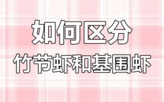 基围虾和竹节虾的区别_哪个更好吃