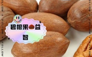 碧根果热量高吗_减肥能吃碧根果吗