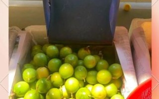 百香果多少钱一斤2020_2020年百香果价格走势