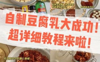 怎样做腐乳_腐乳的制作方法