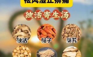 独活寄生汤的功效与作用_独活寄生汤方歌解析