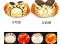 公蟹母蟹哪个好吃_大闸蟹公母区别