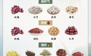 护肝茶哪个效果最好_长期喝护肝茶真的有用吗