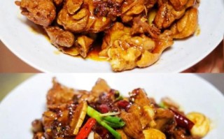 红烧鸭怎么做才好吃_正宗红烧鸭的做法步骤