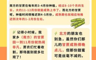 甘蔗到底读几声_甘蔗正确读音是什么