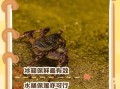 螃蟹怎么保存才新鲜_螃蟹能保存多久