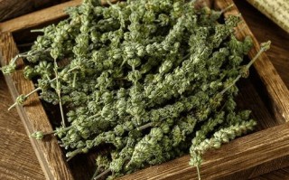 荆芥穗图片大全_荆芥穗长什么样