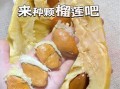 榴莲核能吃吗_榴莲核怎么吃最好