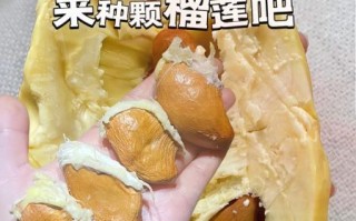 榴莲核能吃吗_榴莲核怎么吃最好