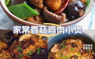 小鸡炖蘑菇怎么做_东北家常做法 小鸡炖蘑菇怎么做_东北家常做法