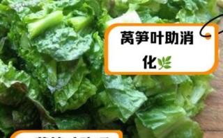 莴苣叶有毒吗_科学依据