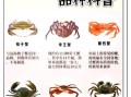 河蟹和海蟹哪个好吃_口感营养大比拼
