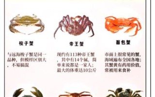 河蟹和海蟹哪个好吃_口感营养大比拼